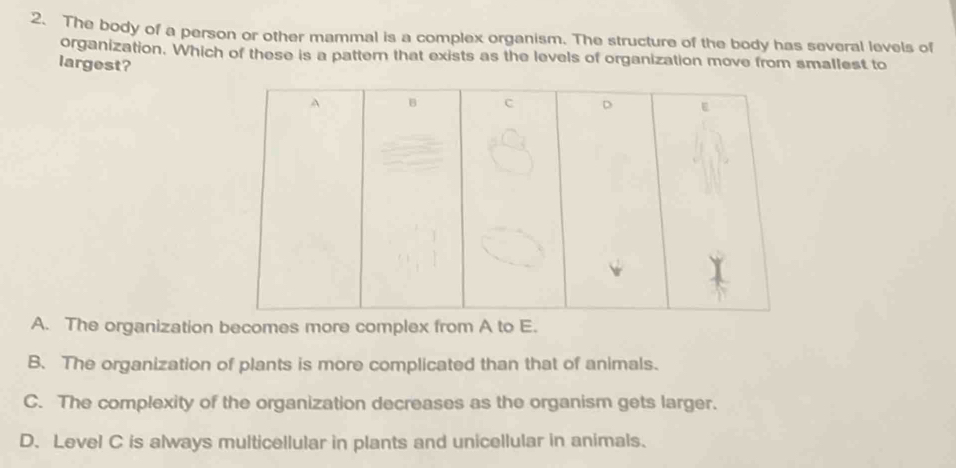 Solved: The body of a person or other mammal is a complex organism. The ...