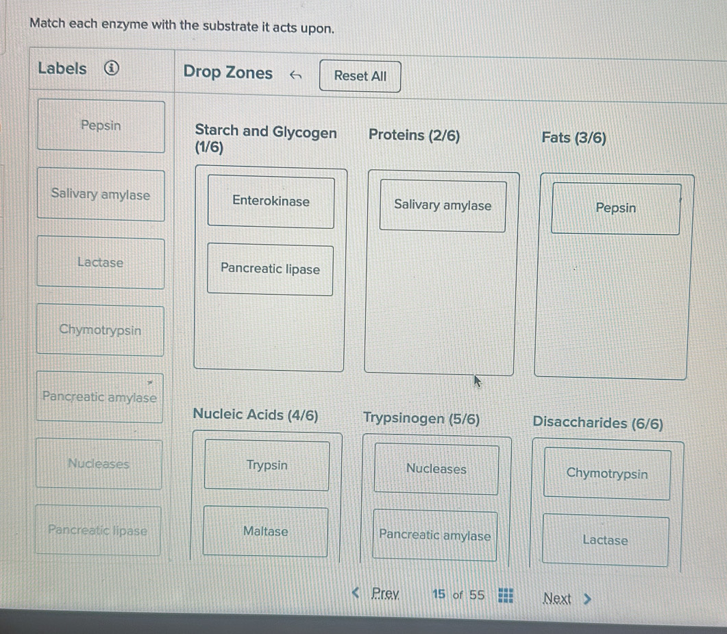 Solved: Match each enzyme with the substrate it acts upon. Labels Drop Zones Reset All Pepsin St ...