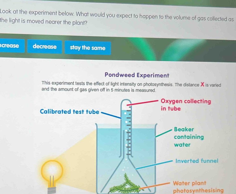 Solved: Look at the experiment below. What would you expect to happen ...