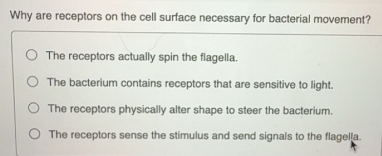Solved: Why are receptors on the cell surface necessary for bacterial ...