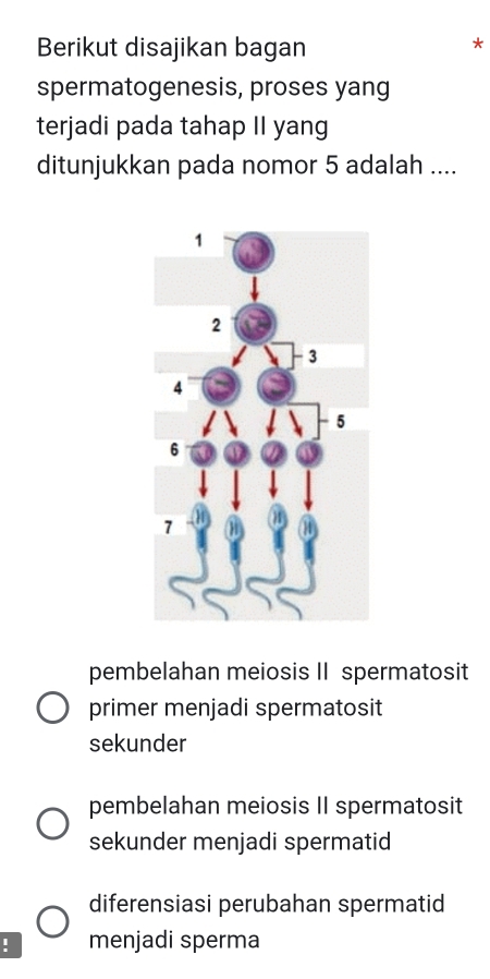 Telah dijawab:Berikut disajikan bagan * spermatogenesis, proses yang ...