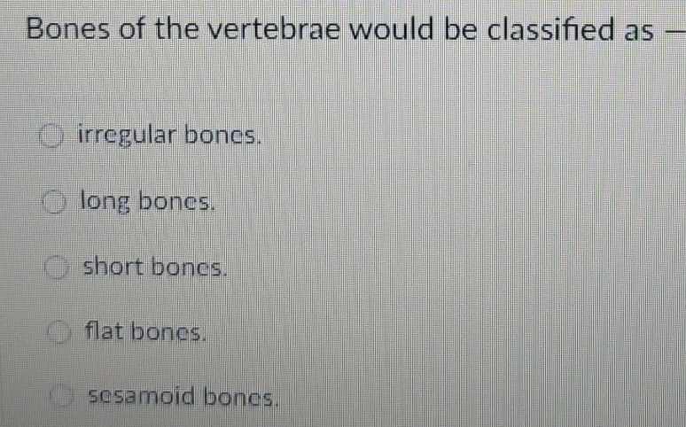 Solved: Bones of the vertebrae would be classified as — irregular bones ...
