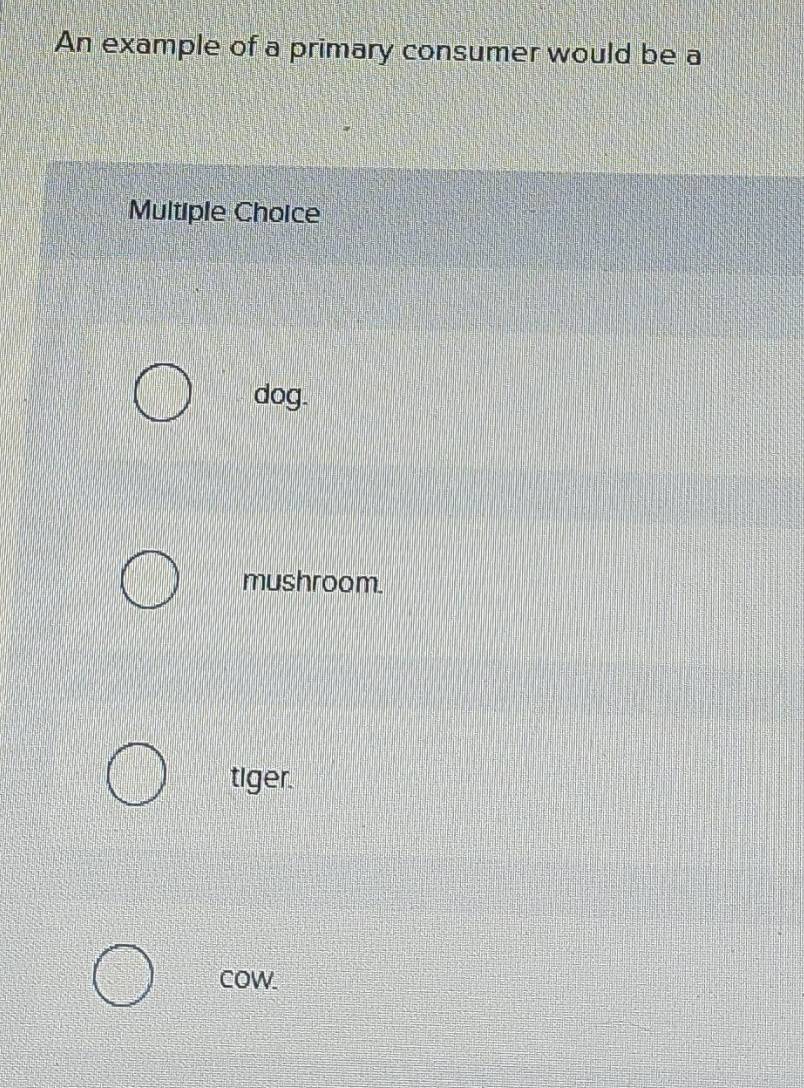 Solved: An example of a primary consumer would be a Multiple Choice dog ...