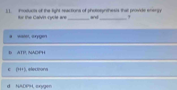 Solved: Products of the light reactions of photosynthesis that provide ...