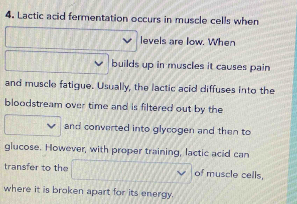 Solved: Lactic acid fermentation occurs in muscle cells when levels are ...