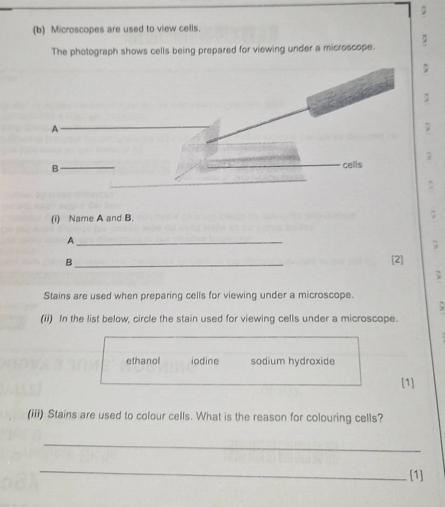 Solved: Microscopes are used to view cells. The photograph shows cells ...
