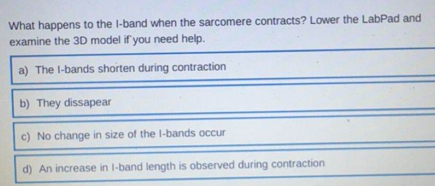 Risolto:What happens to the I-band when the sarcomere contracts? Lower ...