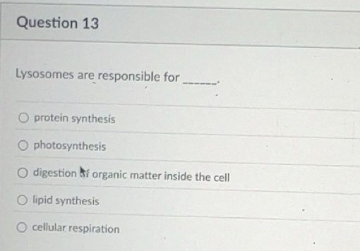 Solved: Lysosomes are responsible for_ . protein synthesis ...