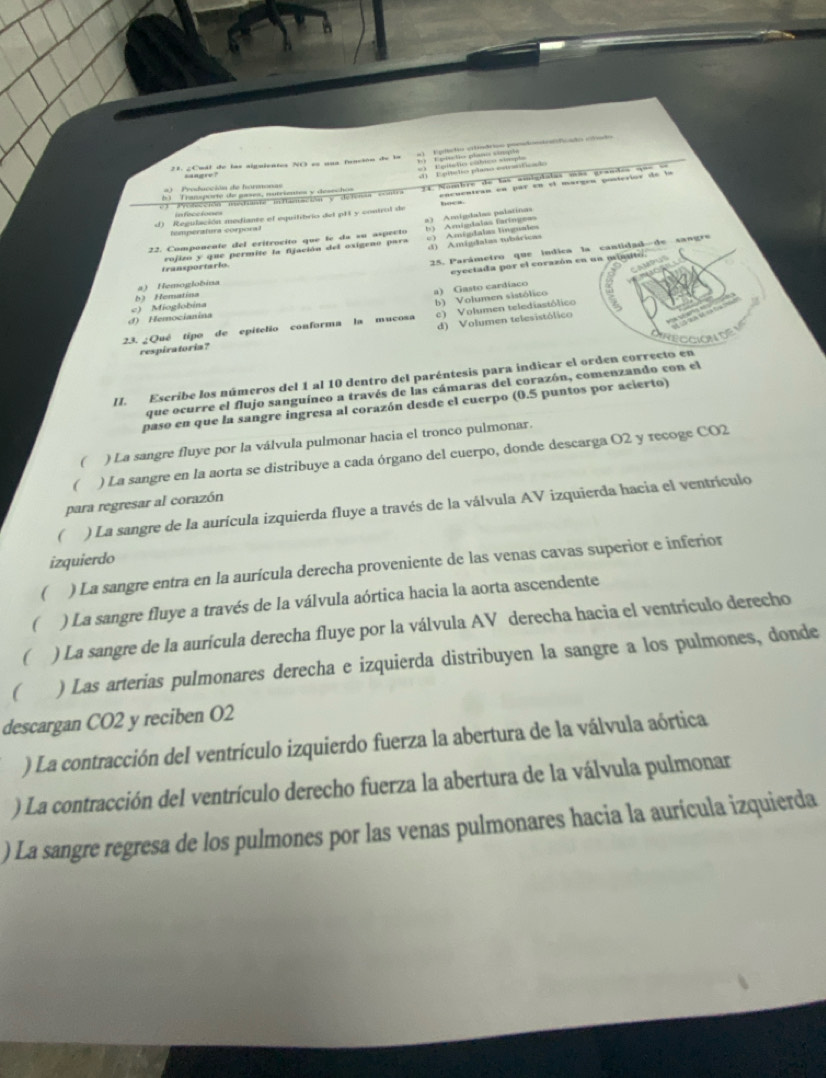 Resuelto:¿Cmil de las aiguientes NO es uua fención de la =) Producción ...