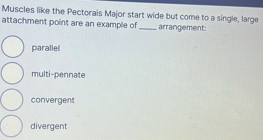 Solved: Muscles like the Pectorais Major start wide but come to a ...