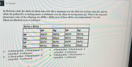 Solved: 0 / 1 point In Holstein cattle the allele for black hair color ...