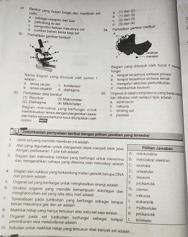 Telah dijawab:Benkut yang bukan fungai dari membran sel a (1) dan (2 ...
