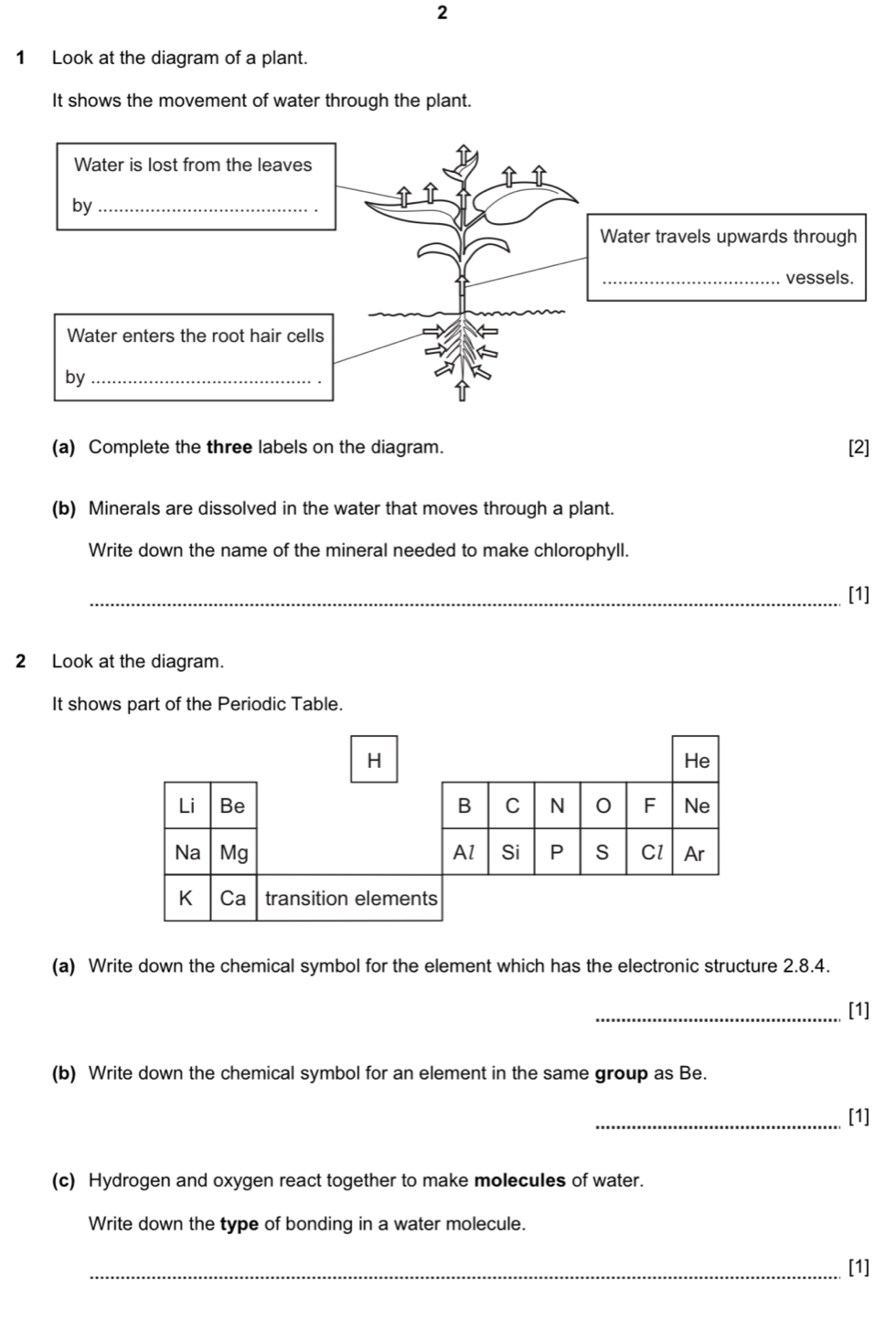 Selesai:2 1 Look at the diagram of a plant. It shows the movement of ...