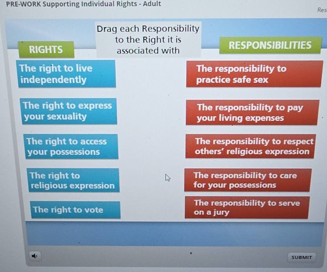 Solved: PRE-WORK Supporting Individual Rights - Adult Res Drag each ...