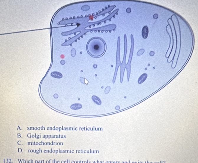 Solved: B. Golgi apparatus C. mitochondrion D. rough endoplasmic ...
