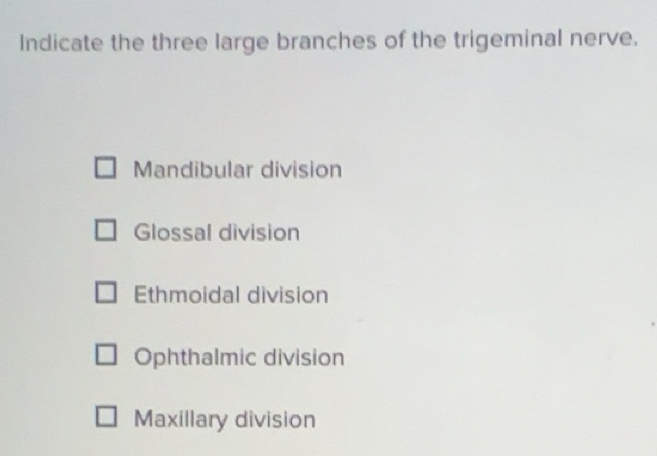 Solved: Indicate the three large branches of the trigeminal nerve ...