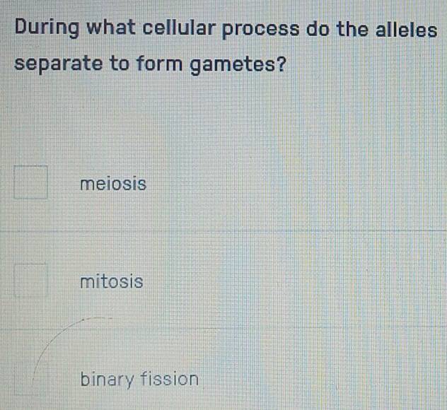 Solved: During what cellular process do the alleles separate to form ...