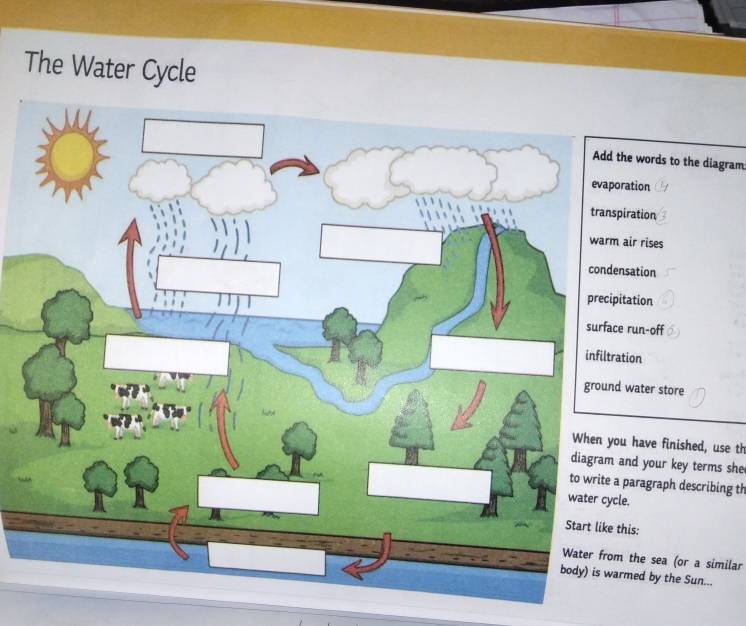 Solved: The Water Cycle Add the words to the diagram: evaporation ...