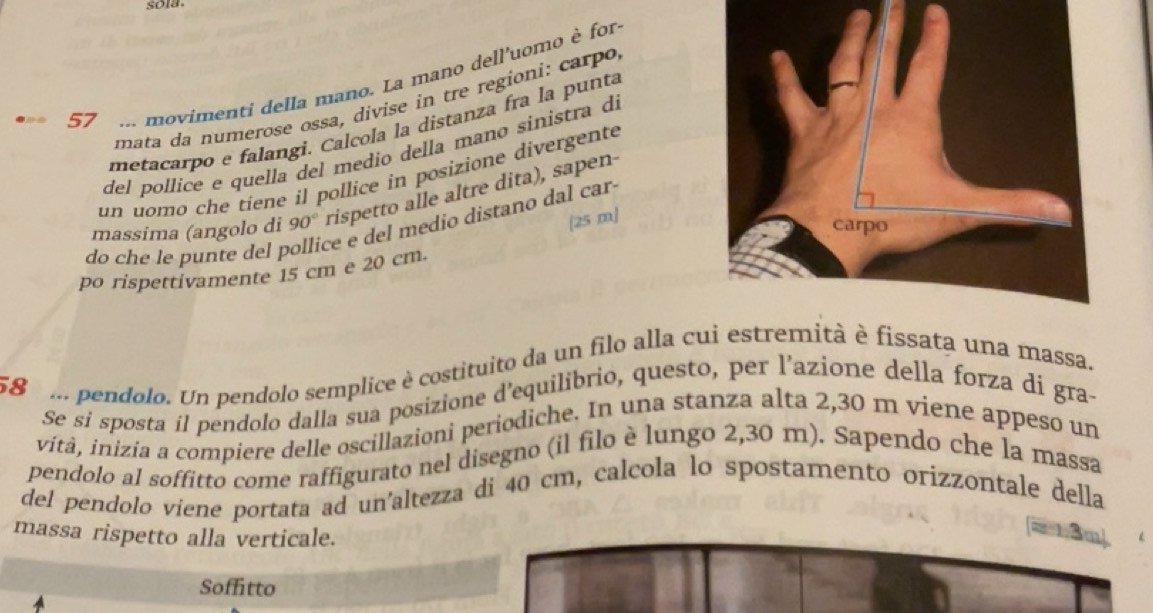 Risolto: 57 ... movimenti della mano. La mano dell'uomo è for mata da ...