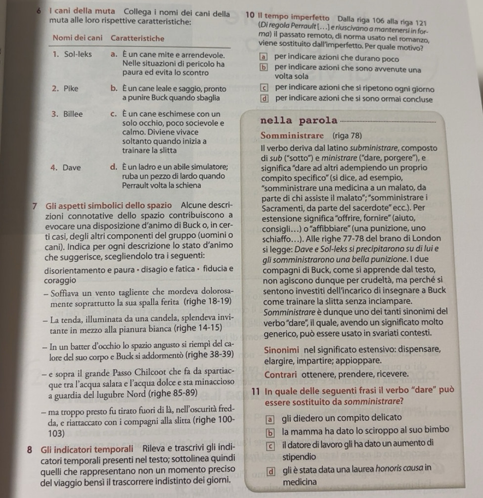 Risolto:cani della muta Collega i nomi dei cani della 10 II tempo ...