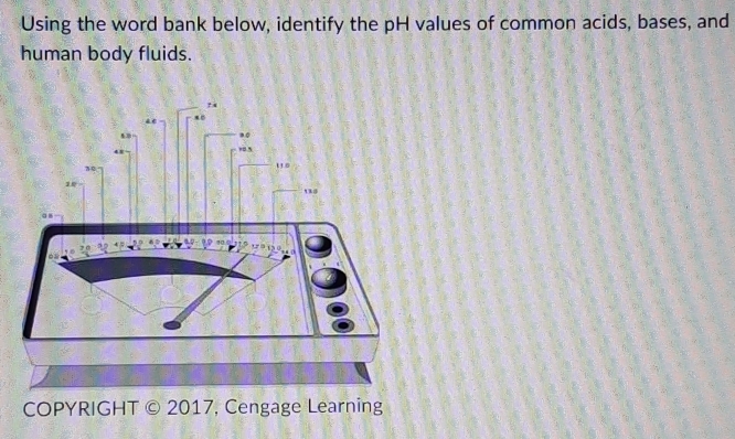 Solved: Using the word bank below, identify the pH values of common acids, bases, and human body ...