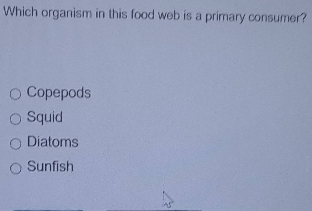 Solved: Which organism in this food web is a primary consumer? Copepods ...