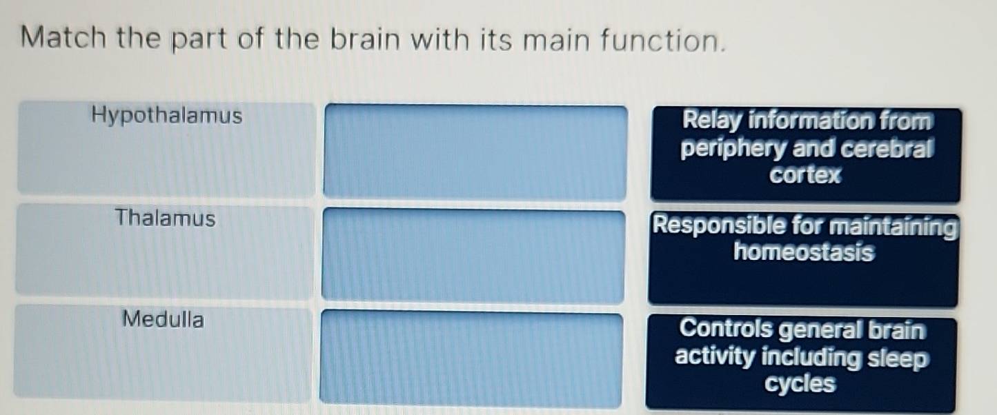 Solved: Match the part of the brain with its main function ...