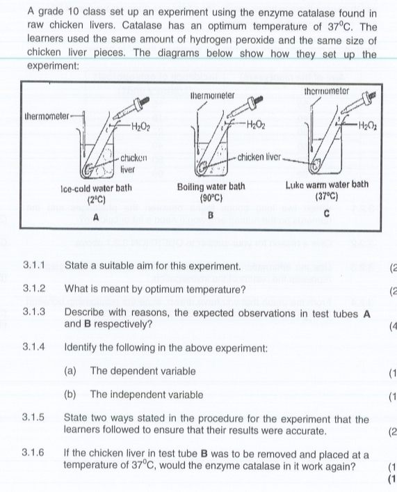 Solved: A grade 10 class set up an experiment using the enzyme catalase ...