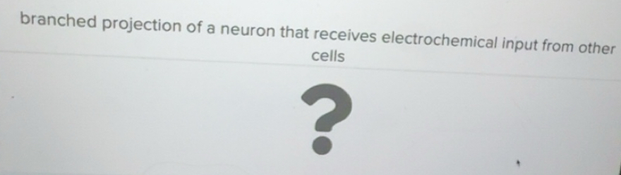 Solved: branched projection of a neuron that receives electrochemical ...