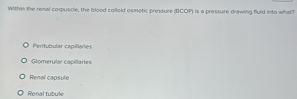 Solved: Within the renal corpuscle, the blood colloid osmotic pressure ...