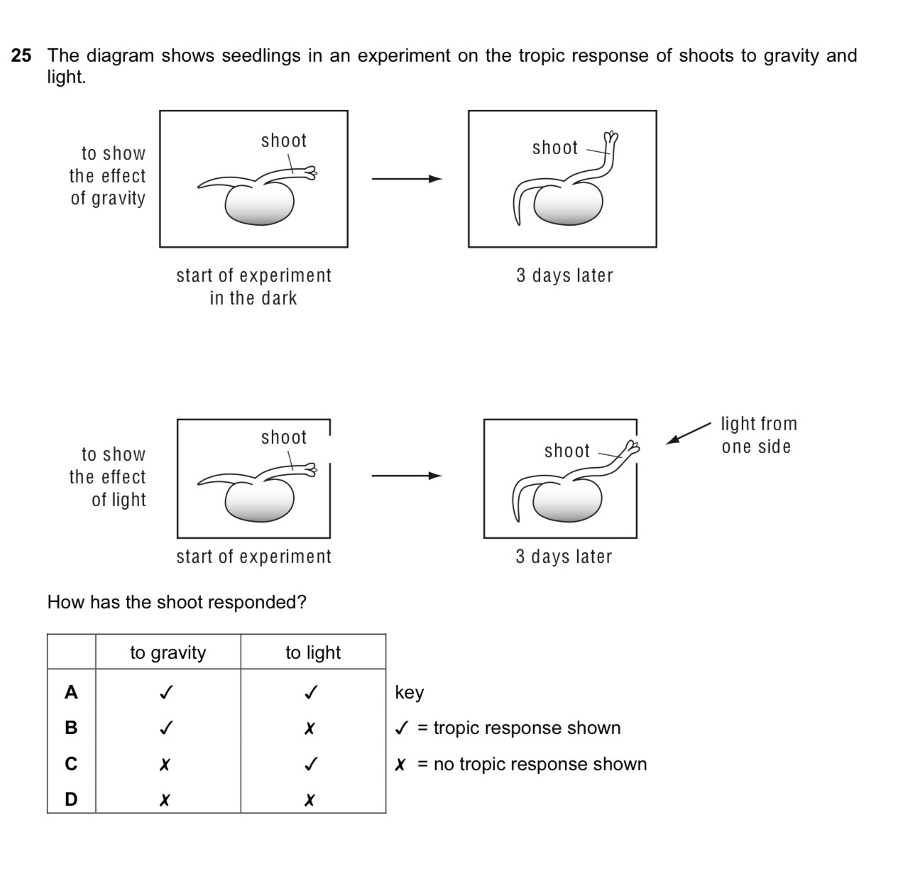 Gelöst:The diagram shows seedlings in an experiment on the tropic ...