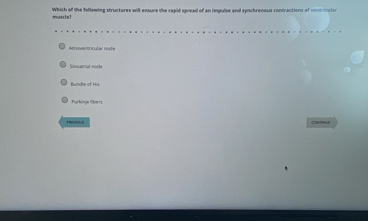 Solved: Which of the following structures will ensure the rapid spread ...