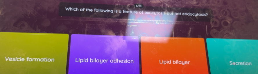 Resuelto:6/20 Which of the following is a feature of exocytosis but not ...