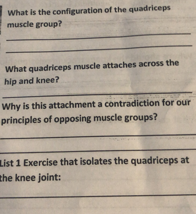 Solved: What is the configuration of the quadriceps muscle group ...