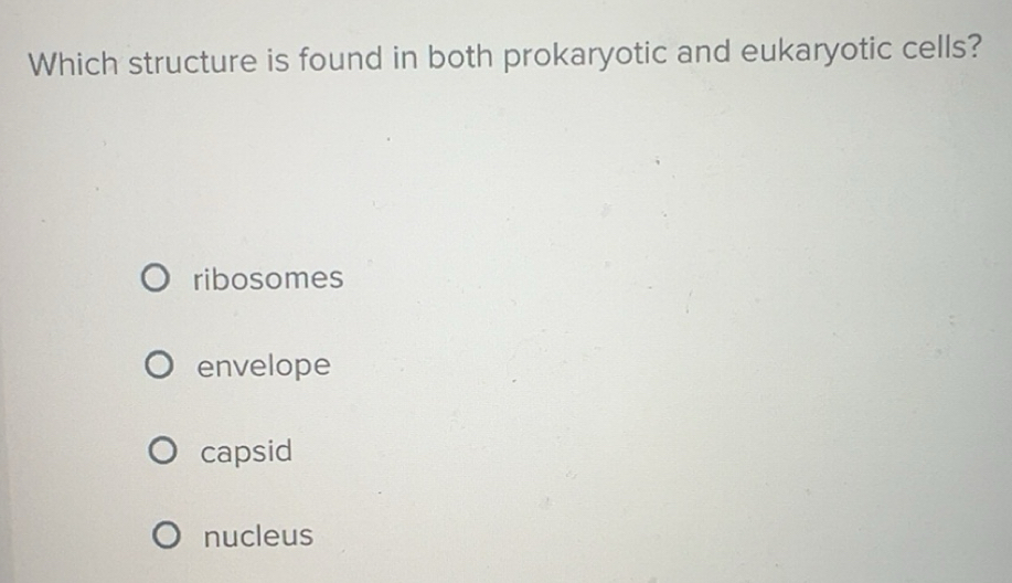 Solved: Which structure is found in both prokaryotic and eukaryotic ...