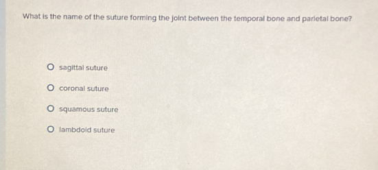 Solved: What is the name of the suture forming the joint between the ...