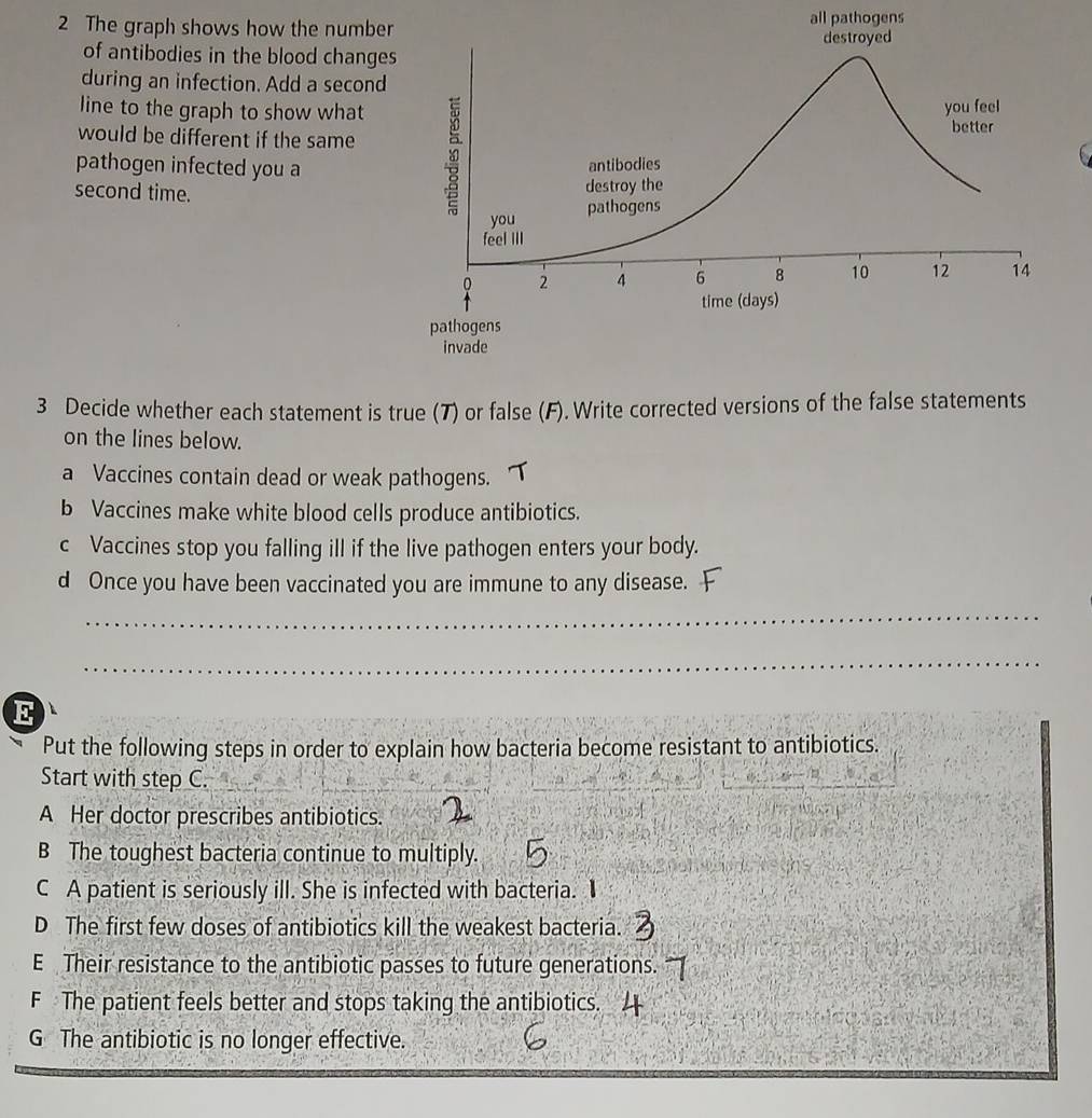 Gelöst:The graph shows how the numberall pathogens of antibodies in the ...