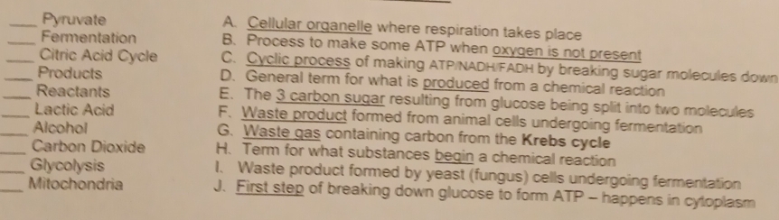 Gelöst:Pyruvate A. Cellular organelle where respiration takes place ...