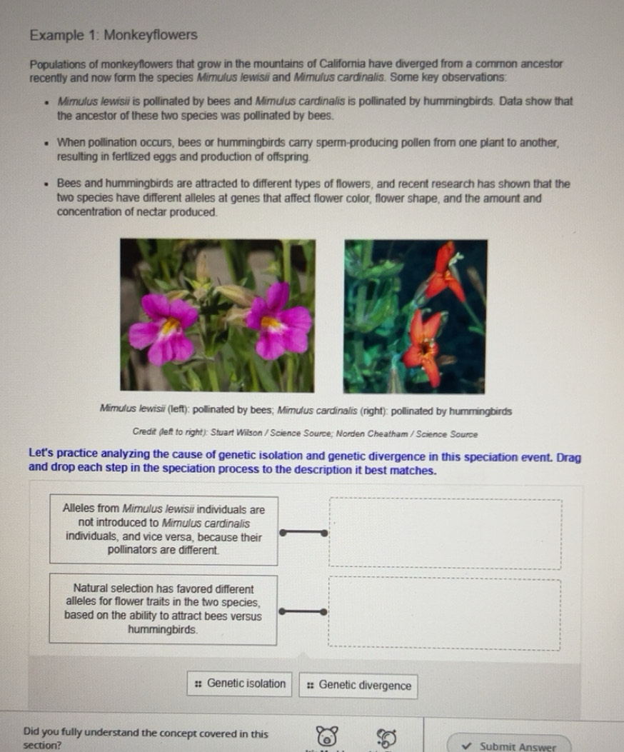 Solved: Example 1: Monkeyflowers Populations of monkeyflowers that grow ...