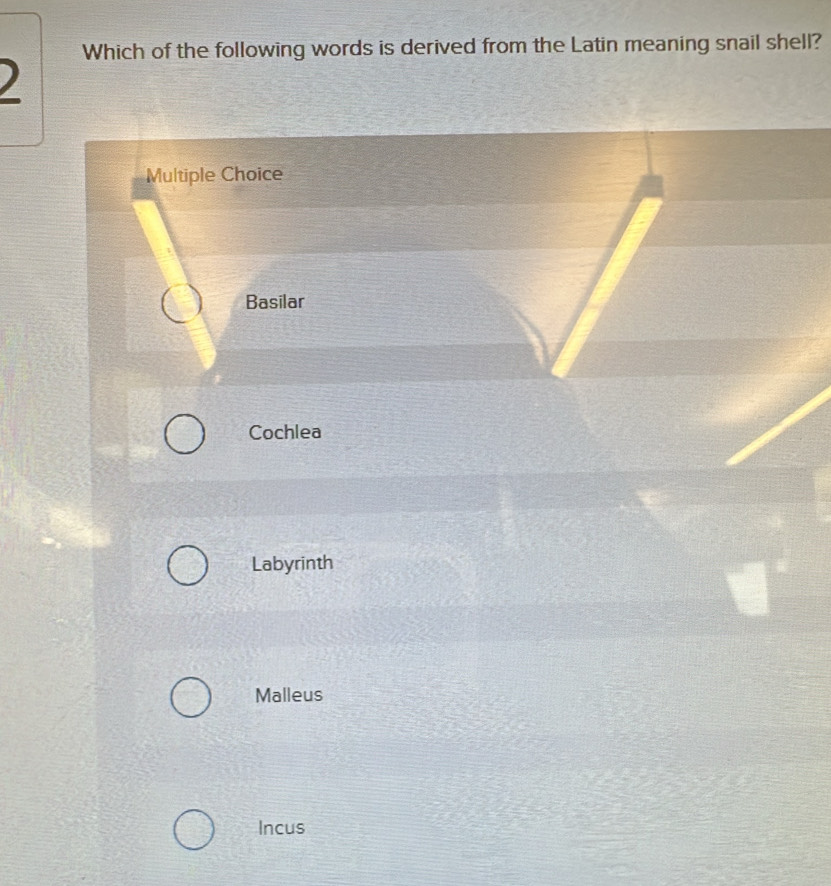 Solved: Which of the following words is derived from the Latin meaning ...