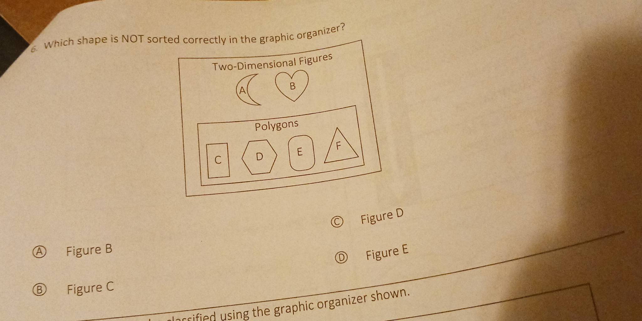 Solved: Which shape is NOT sorted correctly in the graphic organizer ...