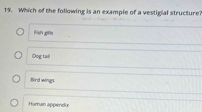 Solved: Which of the following is an example of a vestigial structure ...