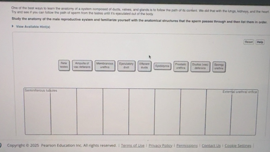 Solved: One of the best ways to learn the anatomy of a system composed ...
