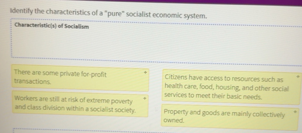 Solved: Identify the characteristics of a “pure” socialist economic ...