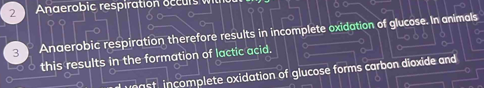 Solved: Anaerobic respiration occurs 3 Anaerobic respiration therefore ...