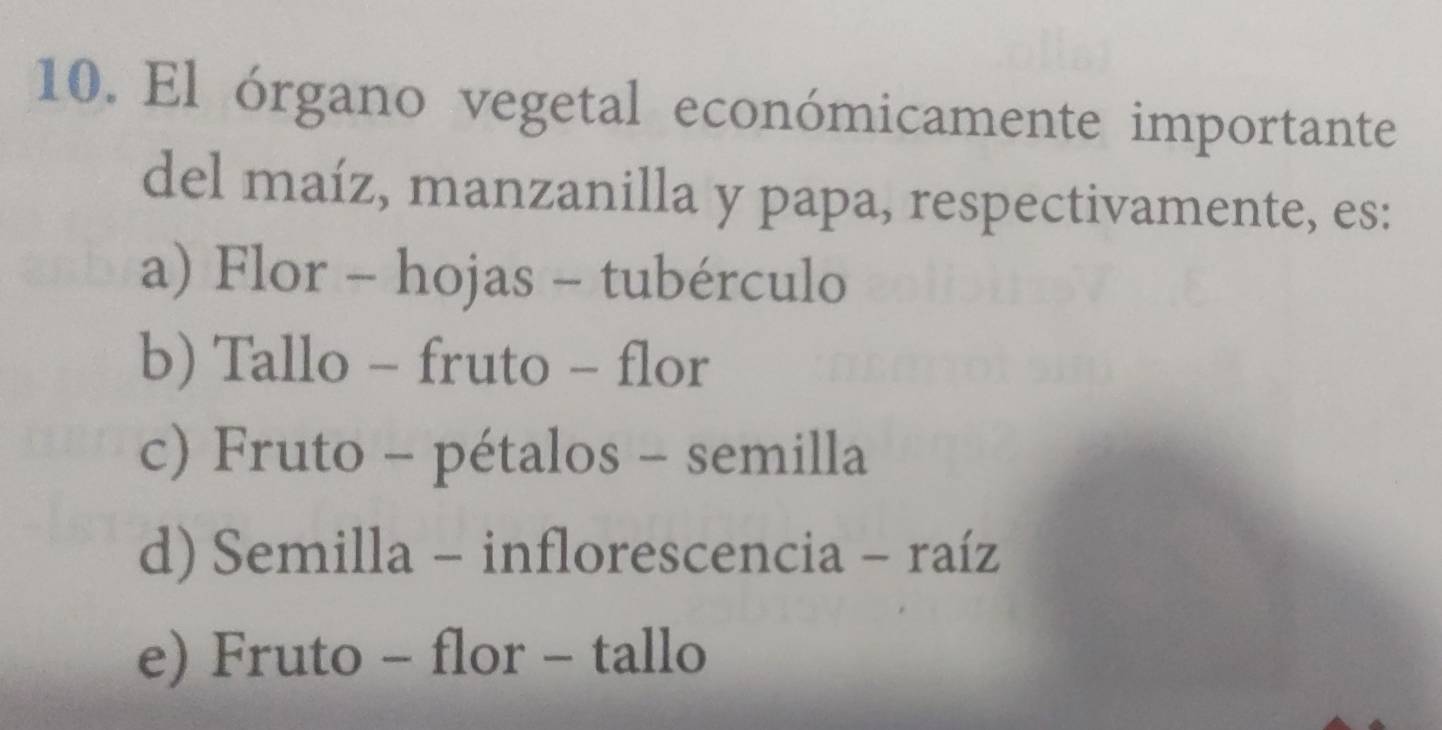 Resuelto:El órgano vegetal económicamente importante del maíz ...
