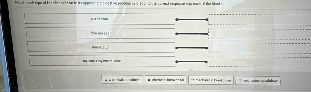 Solved: Match each type of food breakdown to its appropriate digestive ...