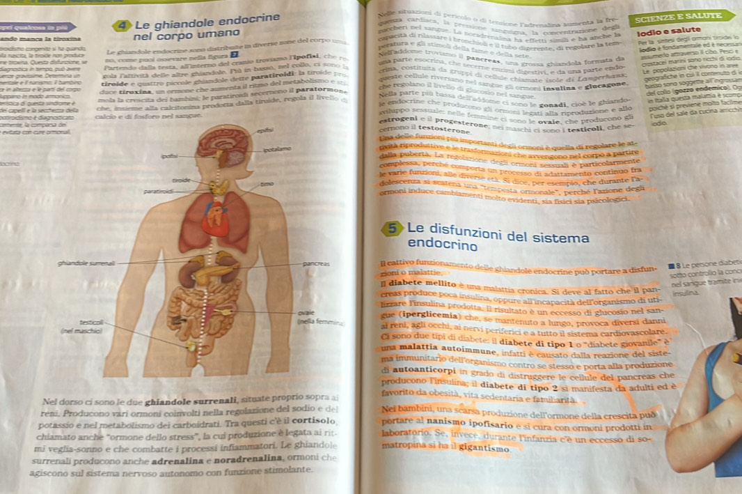 Risolto:qei qualone in 4 Le ghiandole endocrine Nolle stuazioni di ...