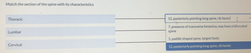 Solved: Match the section of the spine with its characteristics ...