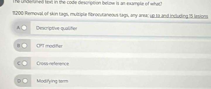 Solved: The underlined text in the code description below is an example ...